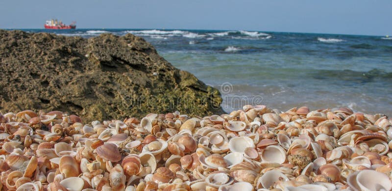 Seashells on the Seashore with a Ship in the Background Stock Photo ...