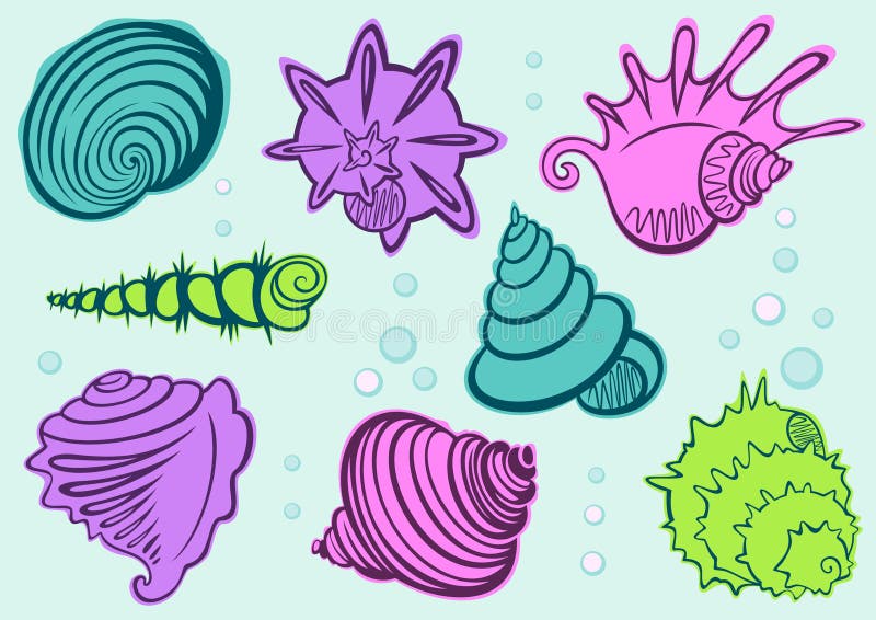 Seashells stock vector. Illustration of blot, line, cartoon - 48942211