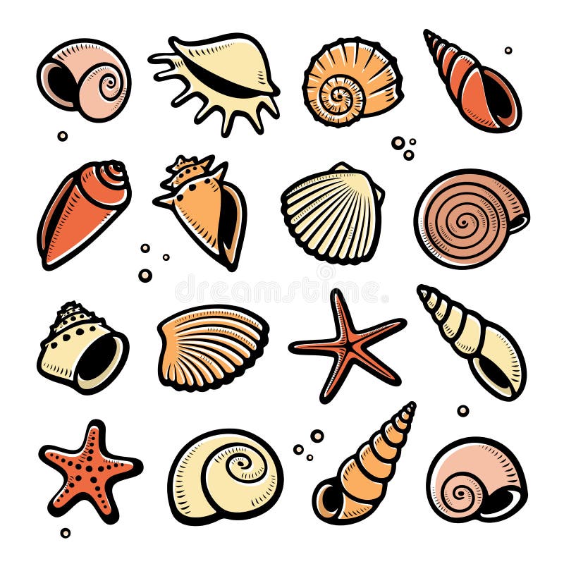 Seashells set. Vector stock vector. Illustration of scallop - 32516432