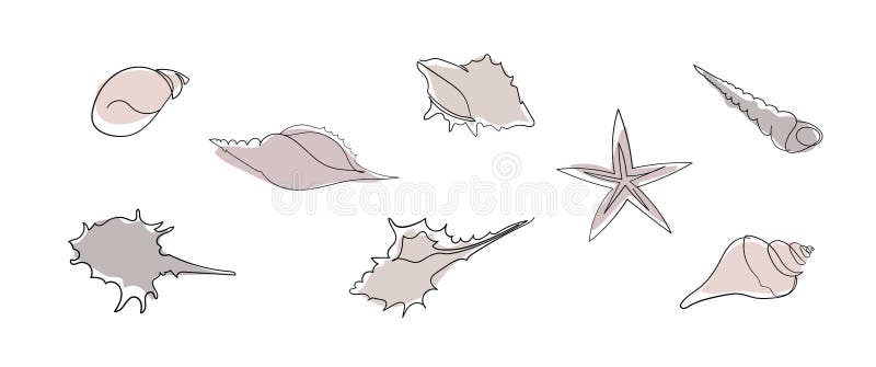 Seashells Set with Colored Elements . Summer Tropical Ocean Beach Style ...