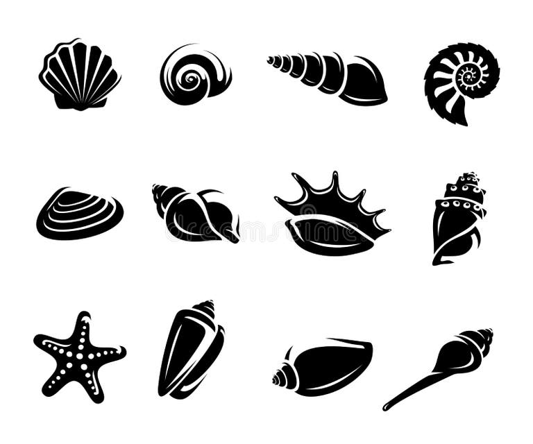 Seashells set. Vector stock vector. Illustration of scallop - 32516432