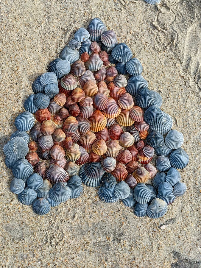 Seashells in the Shape of a Heart in the Sand at the Seashore Stock ...