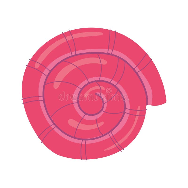 Seashells. Shell Minimalist Outline Icon. Vector Illustration Stock ...