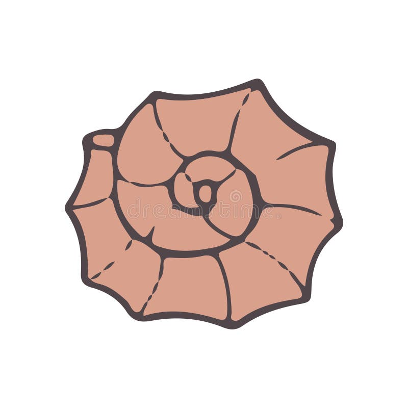 Seashells. Shell Minimalist Outline Icon. Vector Illustration Stock ...