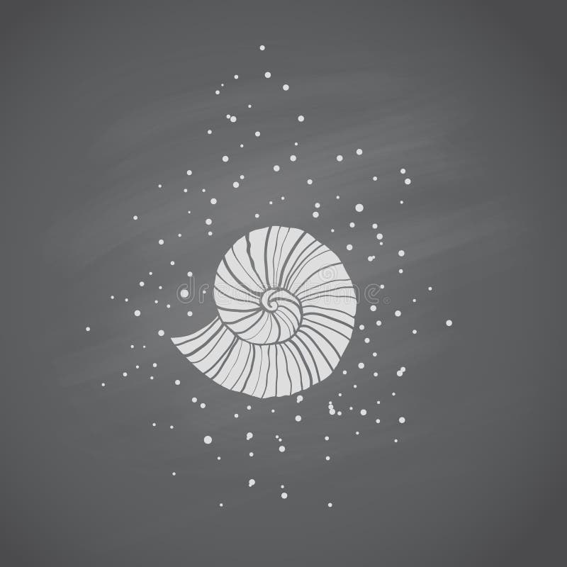 Seashells in Sketch Style on Chalkboard Stock Vector - Illustration of ...