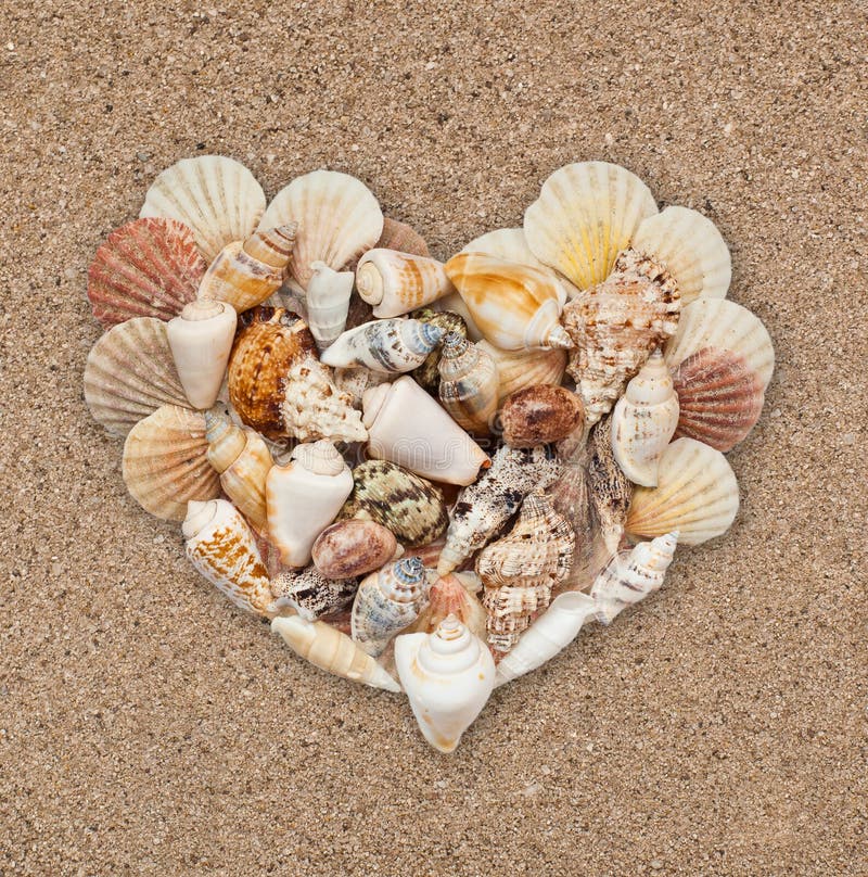 Seashells Stacked in the Form of Heart Stock Photo - Image of natural ...