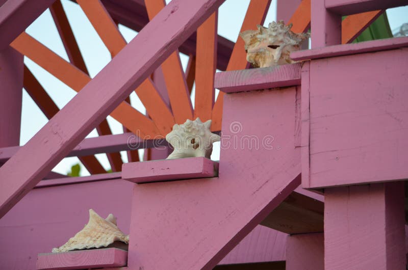 Seashells on the stairs stock image. Image of brave, latin - 86671559