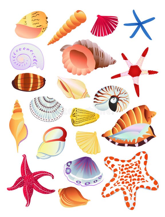 Starfish Stock Illustrations – 134,334 Starfish Stock Illustrations ...
