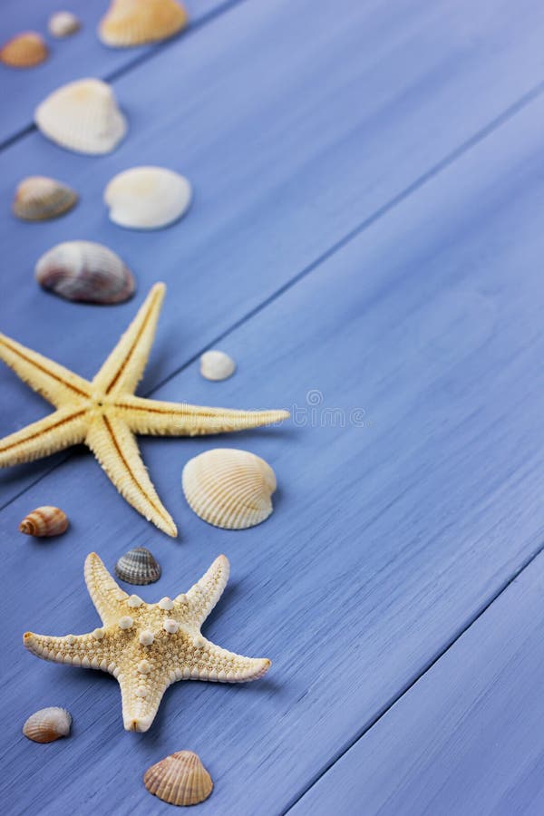 Seashells and starfish stock photo. Image of blue, copy - 38126012