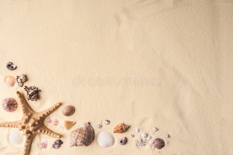 Seashells and Starfish Border Stock Image - Image of summertime ...