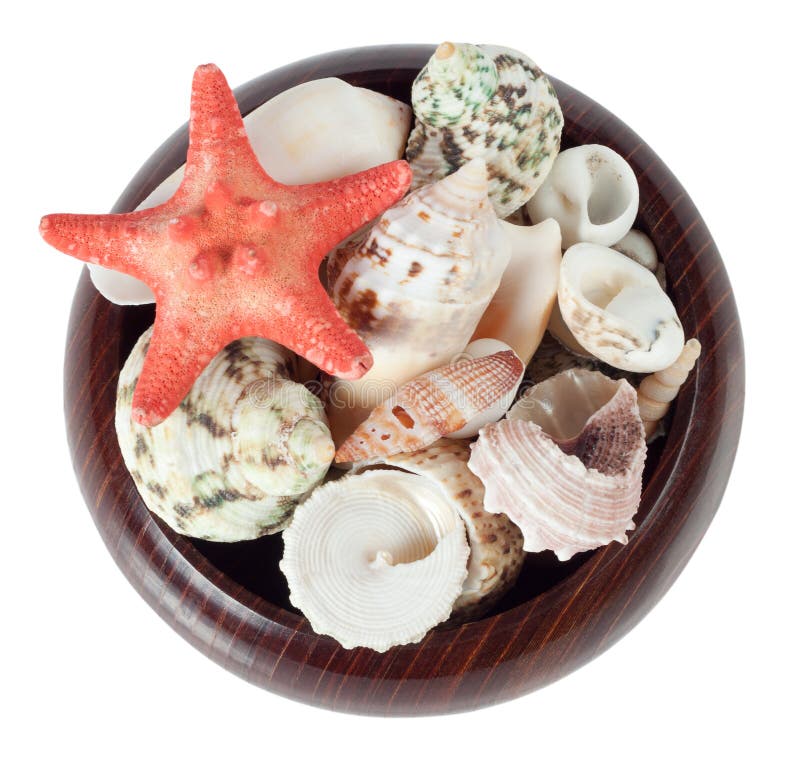 Seashells and Starfish in a Box Stock Photo - Image of background ...