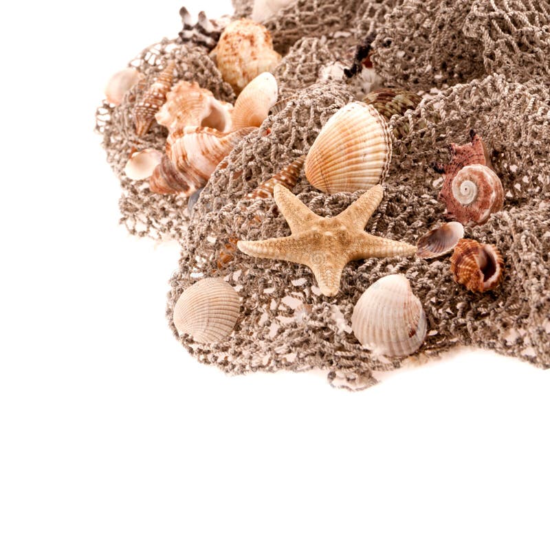 Seashells and Starfish on the Fishing Network Stock Photo - Image of ...