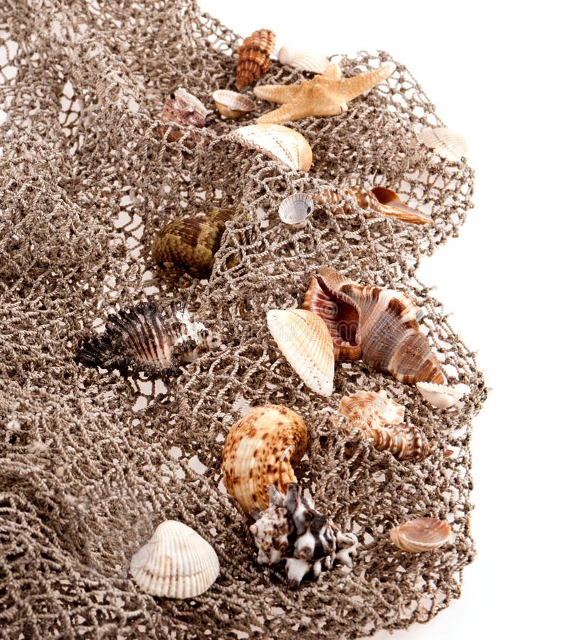 Seashells and Starfish on the Fishing Network Stock Photo - Image of ...