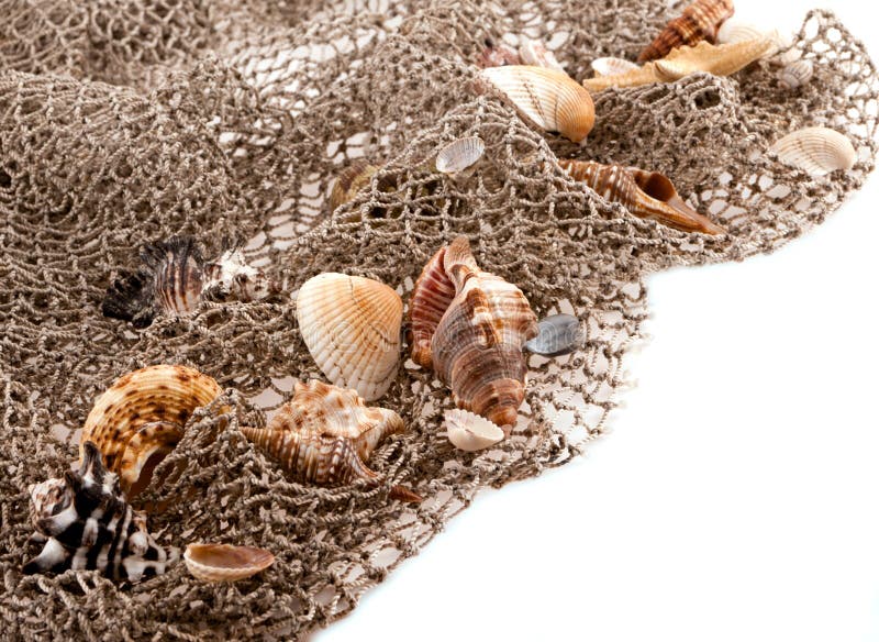 Seashells and Starfish on the Fishing Network Stock Image - Image of ...