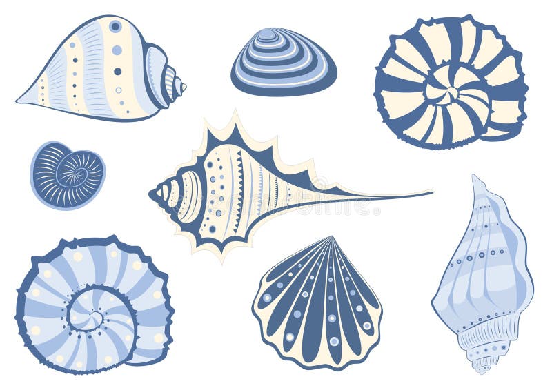 Seashells stock vector. Illustration of underwater, nature - 30434077