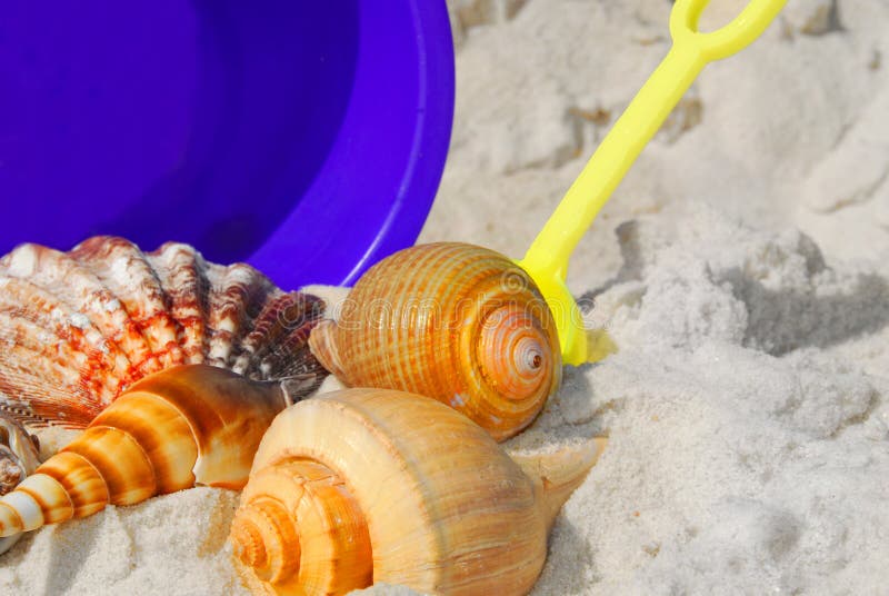 Position Et Seashell Sur La Plage Photo stock - Image du sable ...