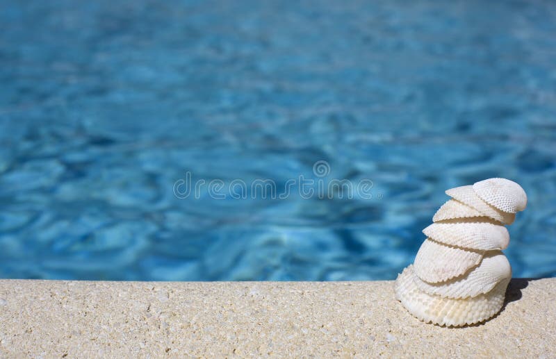 Seashells by the Swimming Pool Stock Photo - Image of seashells, blue ...
