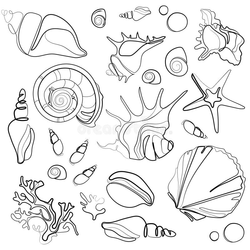 Seashells Vector Outline Set.Various Mollusk Sea Shells Stock Vector ...