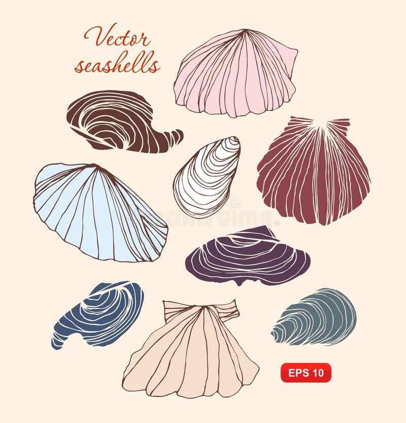 Shells Collection. Vector Set with Seashells and Starfish Stock Vector ...