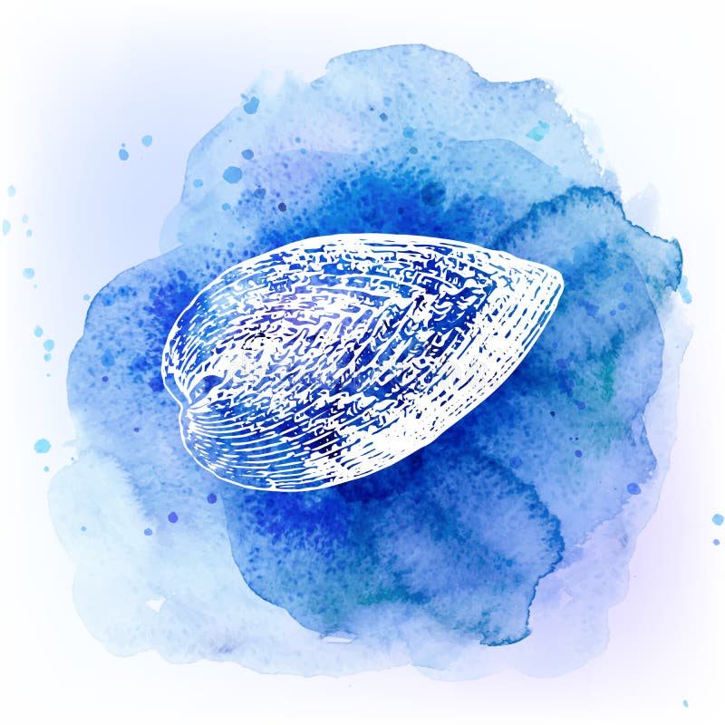 Seashells on Watercolor Blue Background. Sea Background. Stock ...