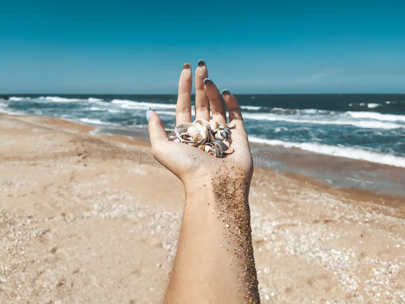 Seashells in the Woman Hand Stock Photo - Image of sand, white: 162370734