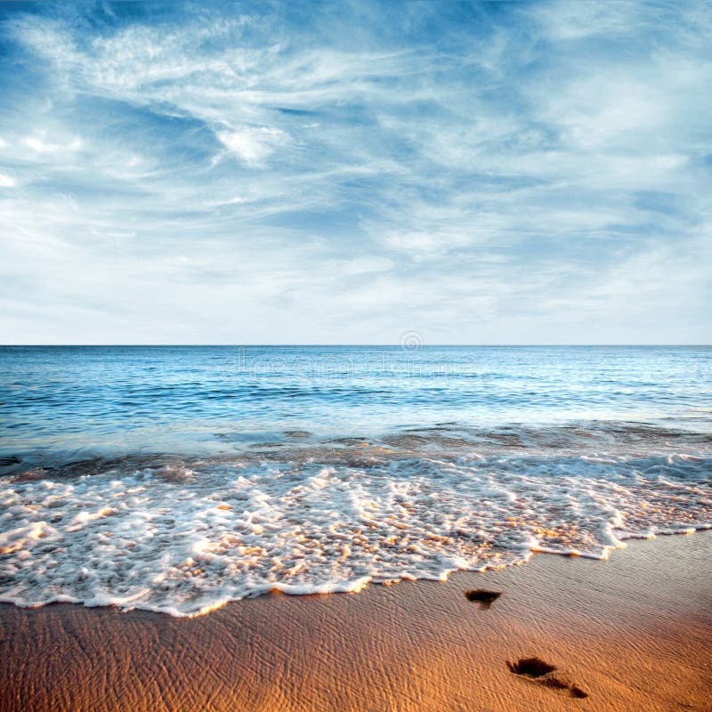 Seashore stock photo. Image of landscape, seashore, green - 8875600