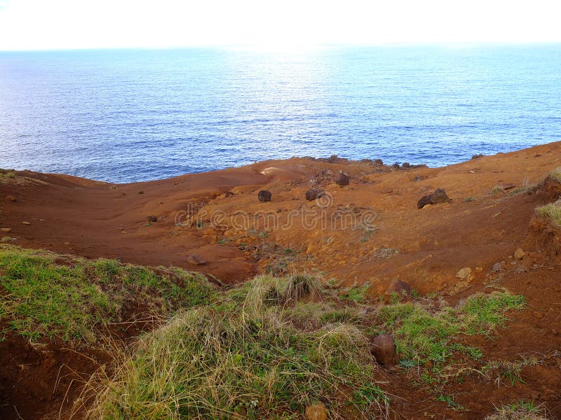 Cow on the Seashore on Easter Island Rapa Nui, Chile Stock Photo ...
