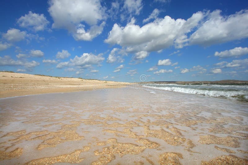 Seashore landscape stock photo. Image of seashore, foamy - 15839884