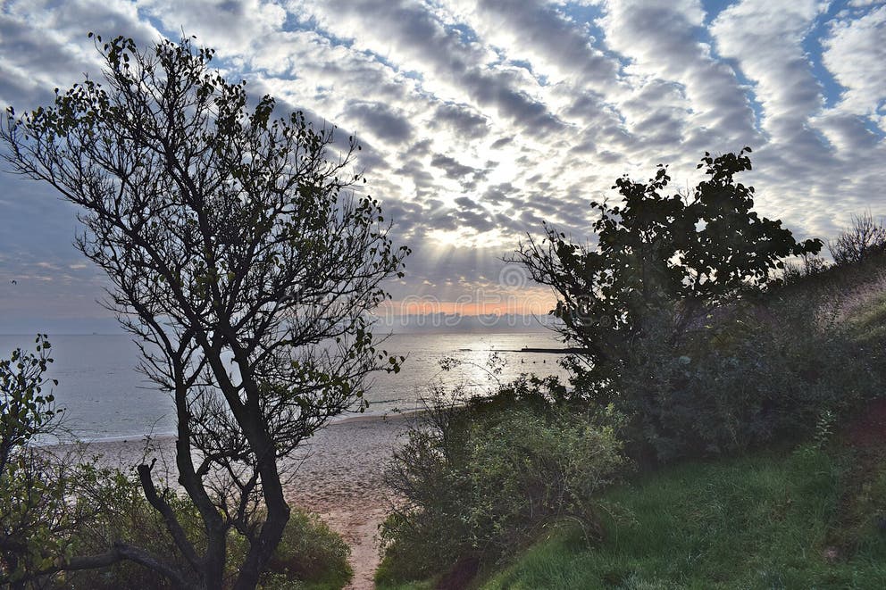 Seashore in the Morning, Trees, Sky with Wavy Clouds Stock Photo ...