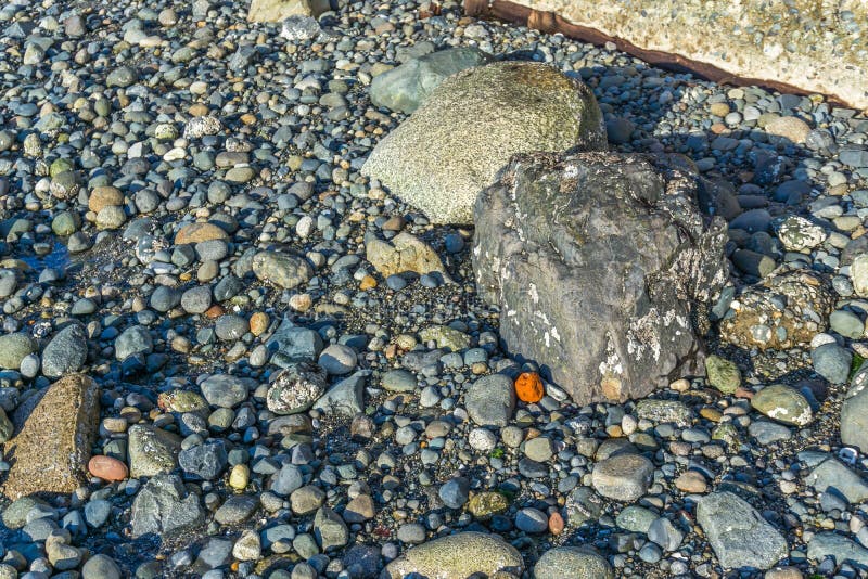 Seashore Rocks Background stock photo. Image of state - 172267762