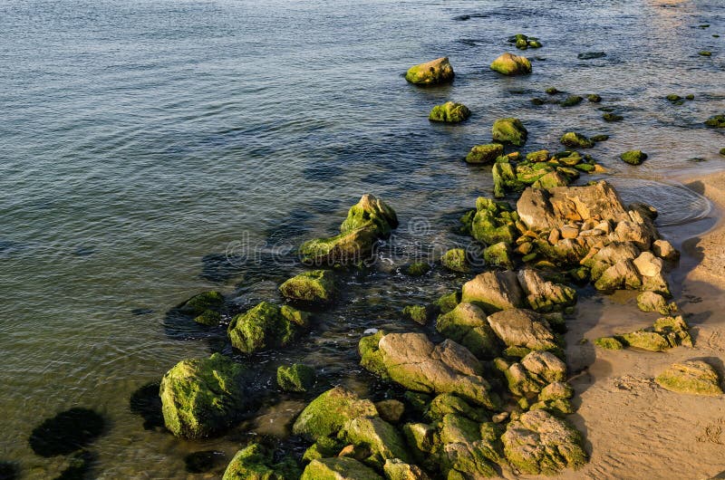 Seashore with Rocks among Which Water Flows with Open Sea Stock Photo ...
