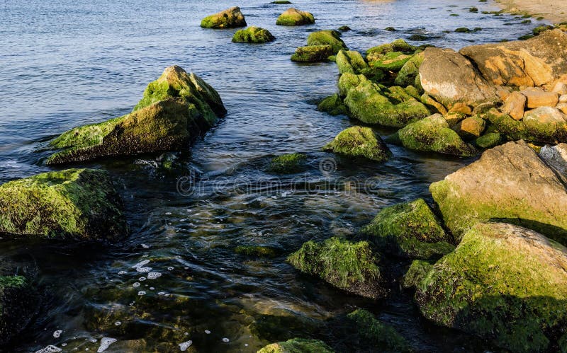 Seashore with Rocks among Which Water Flows with Open Sea Stock Photo ...