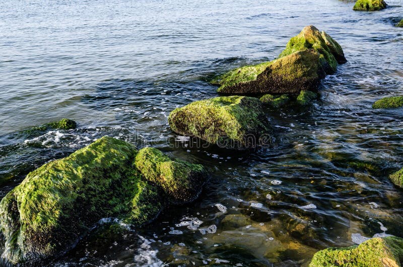 Seashore with Rocks among Which Water Flows with Open Sea Stock Photo ...