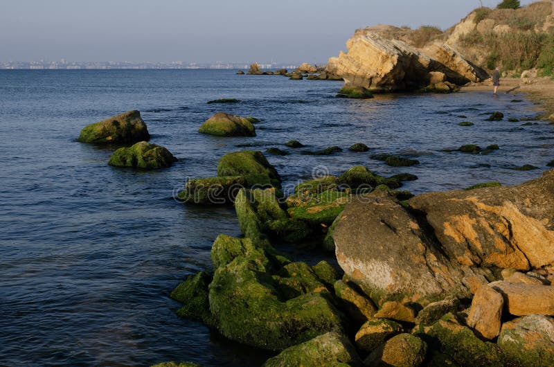 Seashore with Rocks among Which Water Flows with Open Sea Stock Image ...