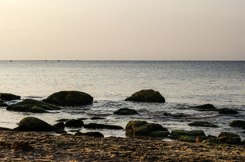 Seashore with Rocks among Which Water Flows with Open Sea Stock Photo ...