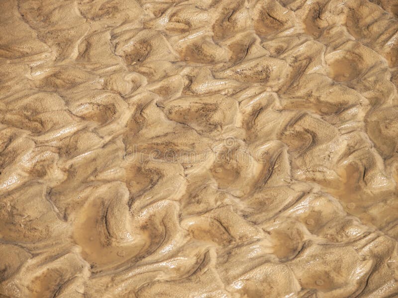 Seashore sand texture stock photo. Image of structure - 106419276