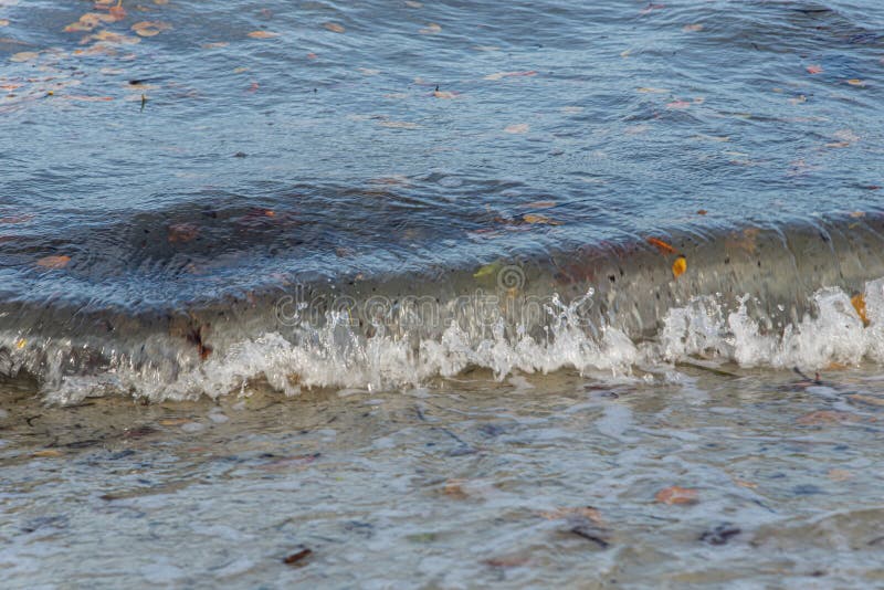 Seaside of a Beach with Small Waves Making Splashes and Bringing Brown ...