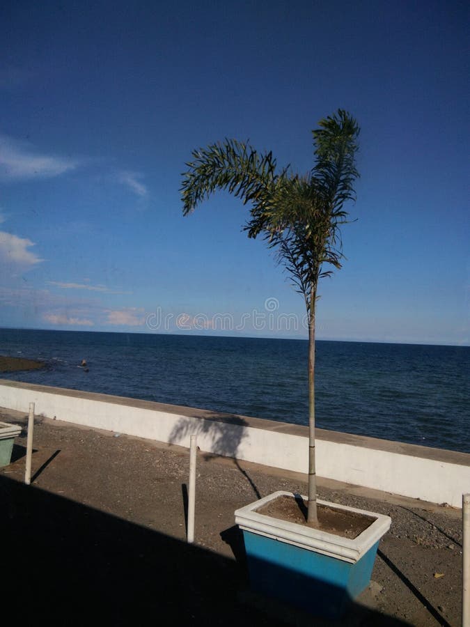 Seaside beach stock image. Image of coast, ocean, vacation - 86480671