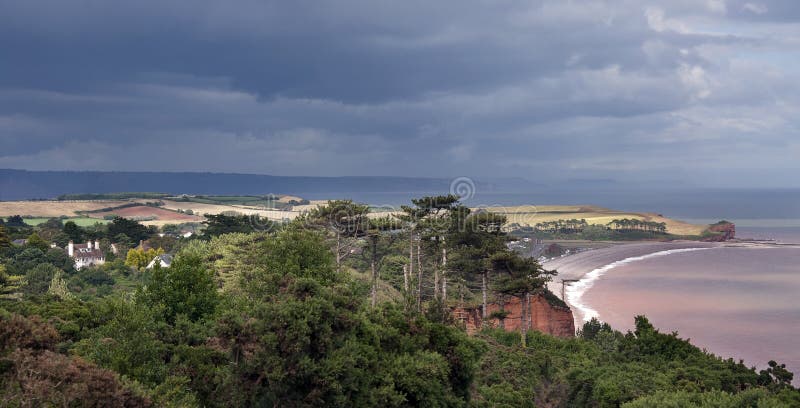 Seaside Countryside in England Stock Photo - Image of tree, salterton ...