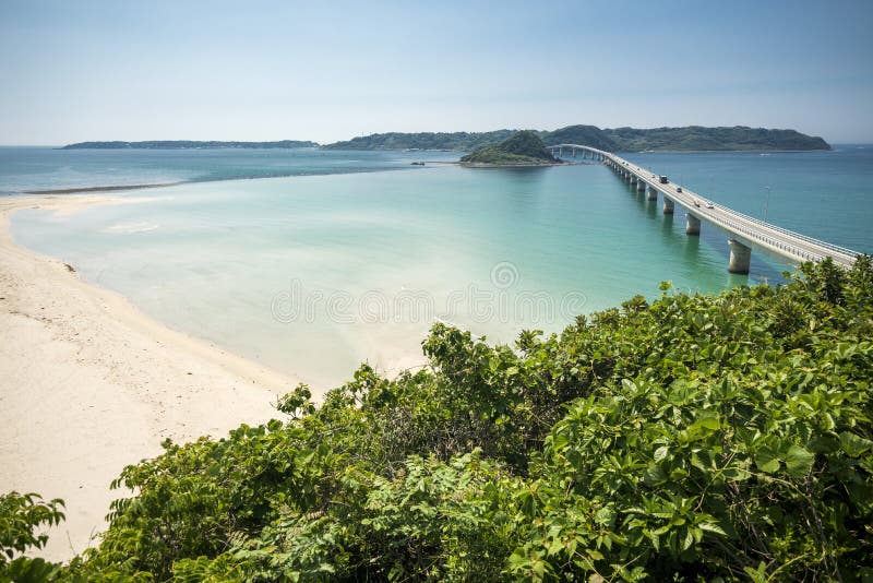 Seaside Green Forest and Bridge Editorial Photo - Image of sandy ...