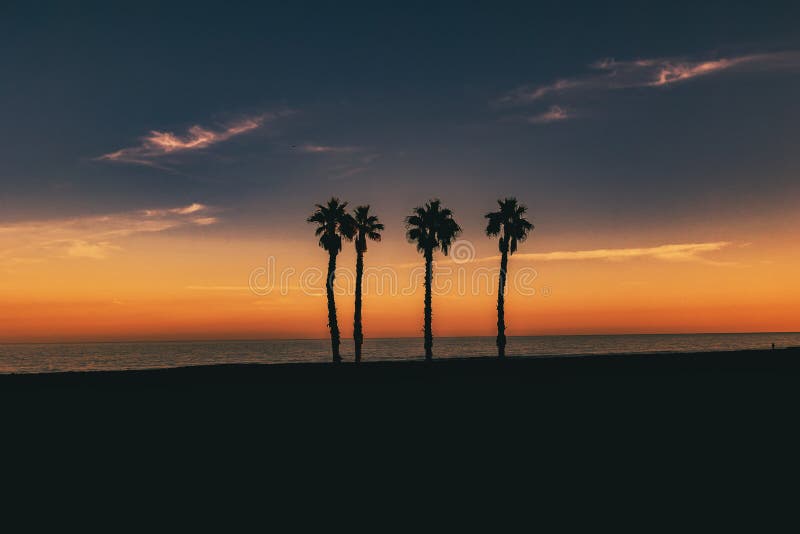 Seaside Landscape Peace and Quiet Sunset and Four Palm Trees on the ...