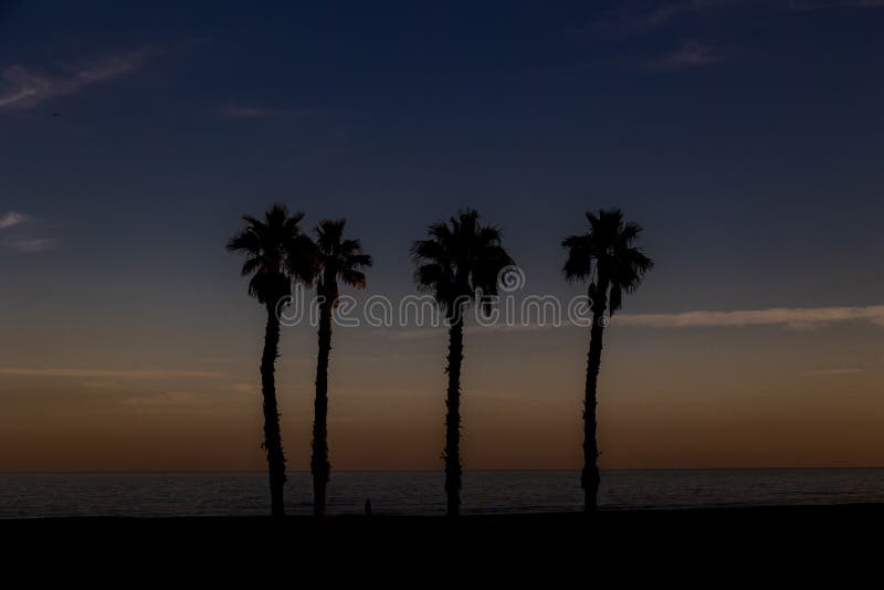 Seaside Landscape Peace and Quiet Sunset and Four Palm Trees on the ...