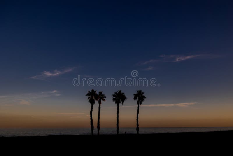 Seaside Landscape Peace and Quiet Sunset and Four Palm Trees on the ...