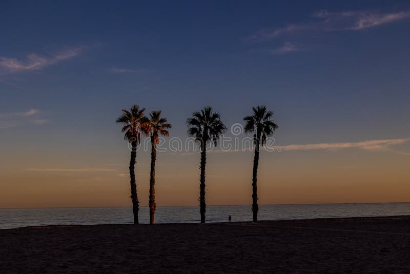 Seaside Landscape Peace and Quiet Sunset and Four Palm Trees on the ...
