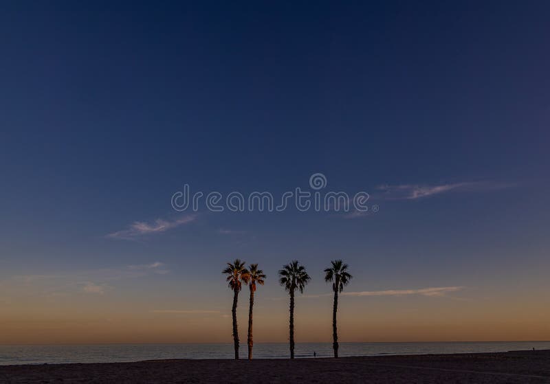 Seaside Landscape Peace and Quiet Sunset and Four Palm Trees on the ...