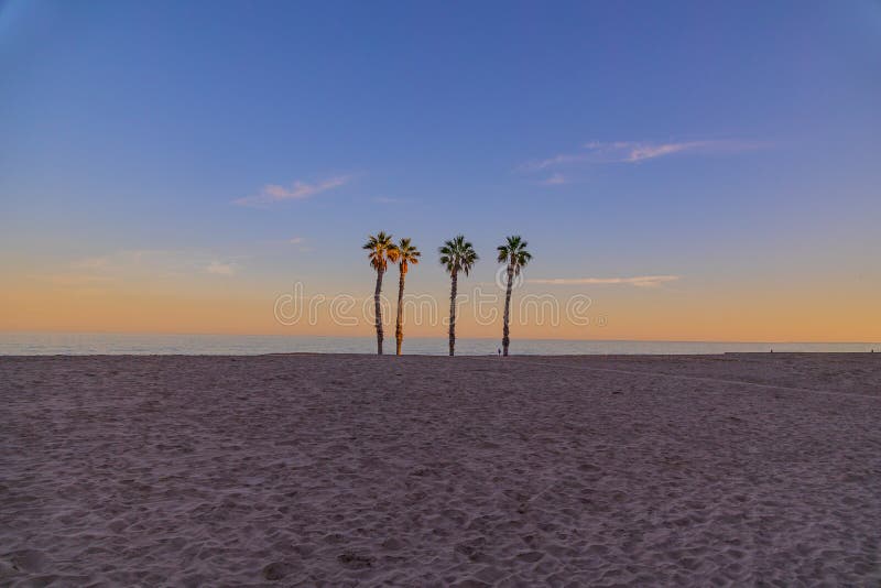 Seaside Landscape Peace and Quiet Sunset and Four Palm Trees on the ...