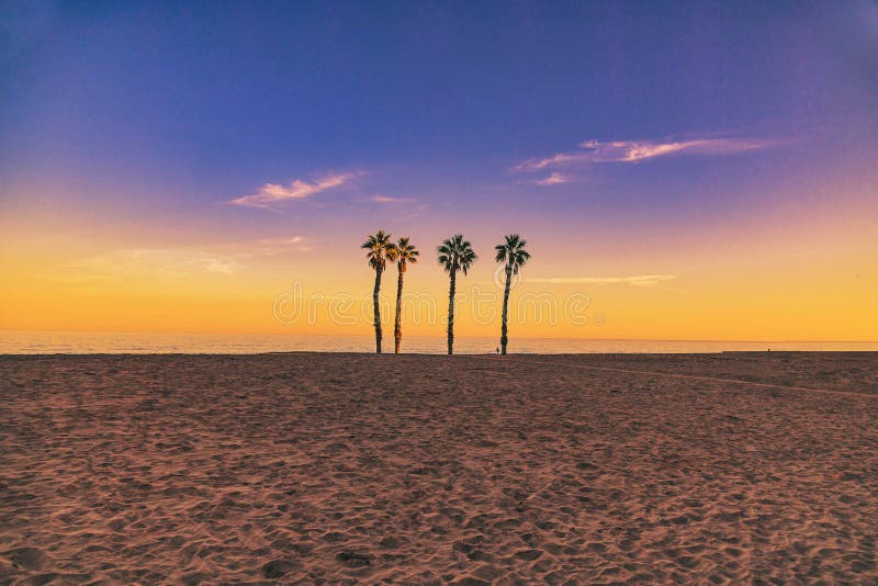 Seaside Landscape Peace and Quiet Sunset and Four Palm Trees on the ...