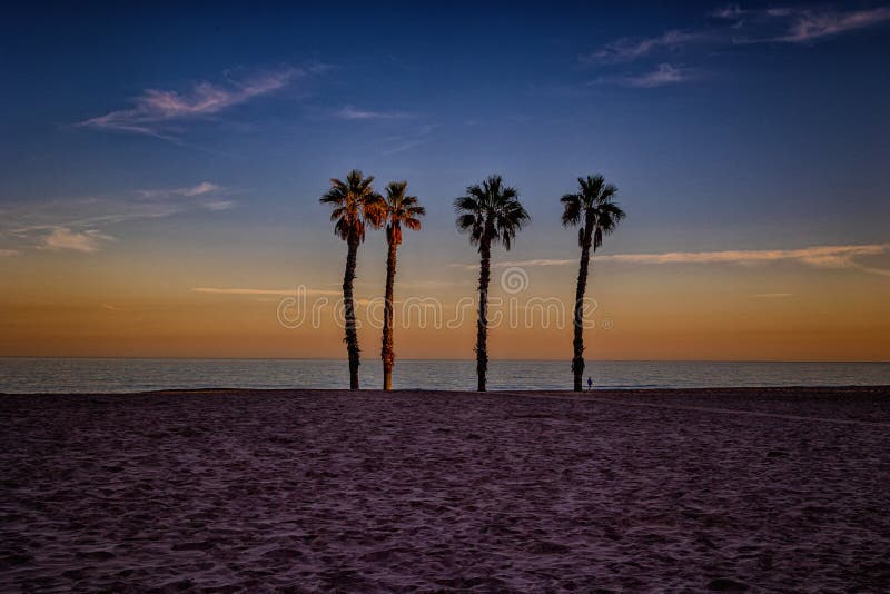 Seaside Landscape Peace and Quiet Sunset and Four Palm Trees on the ...