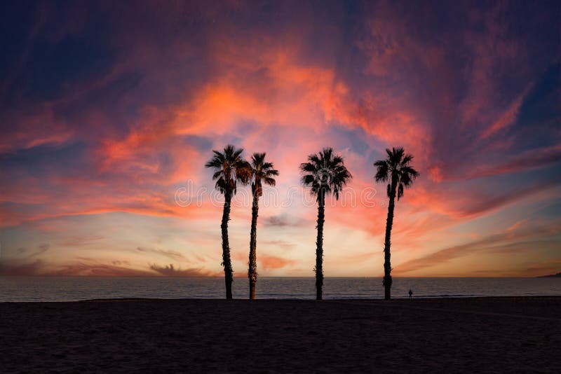 Seaside Landscape Peace and Quiet Sunset and Four Palm Trees on the ...