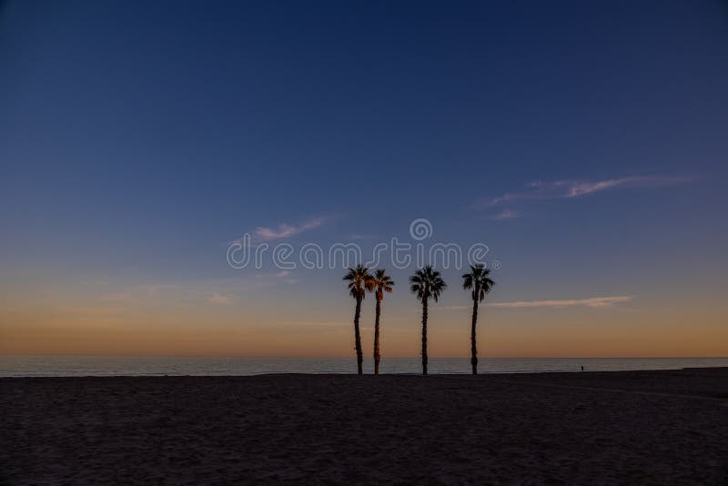 Seaside Landscape Peace and Quiet Sunset and Four Palm Trees on the ...